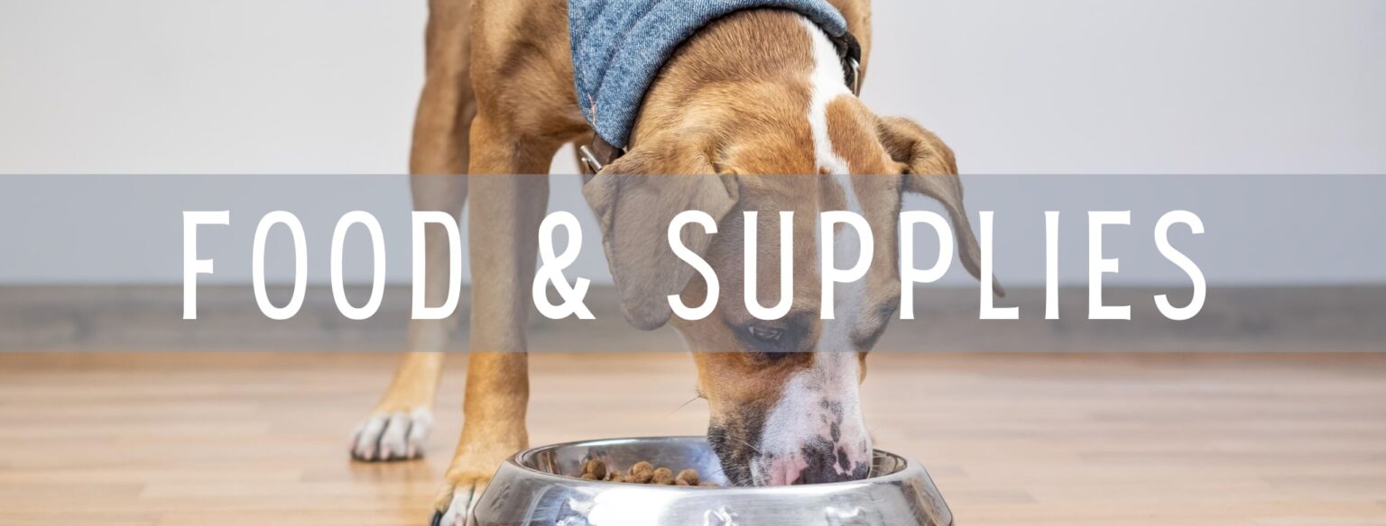 Pet Care Resources - Veterinary Services - Portsmouth Humane