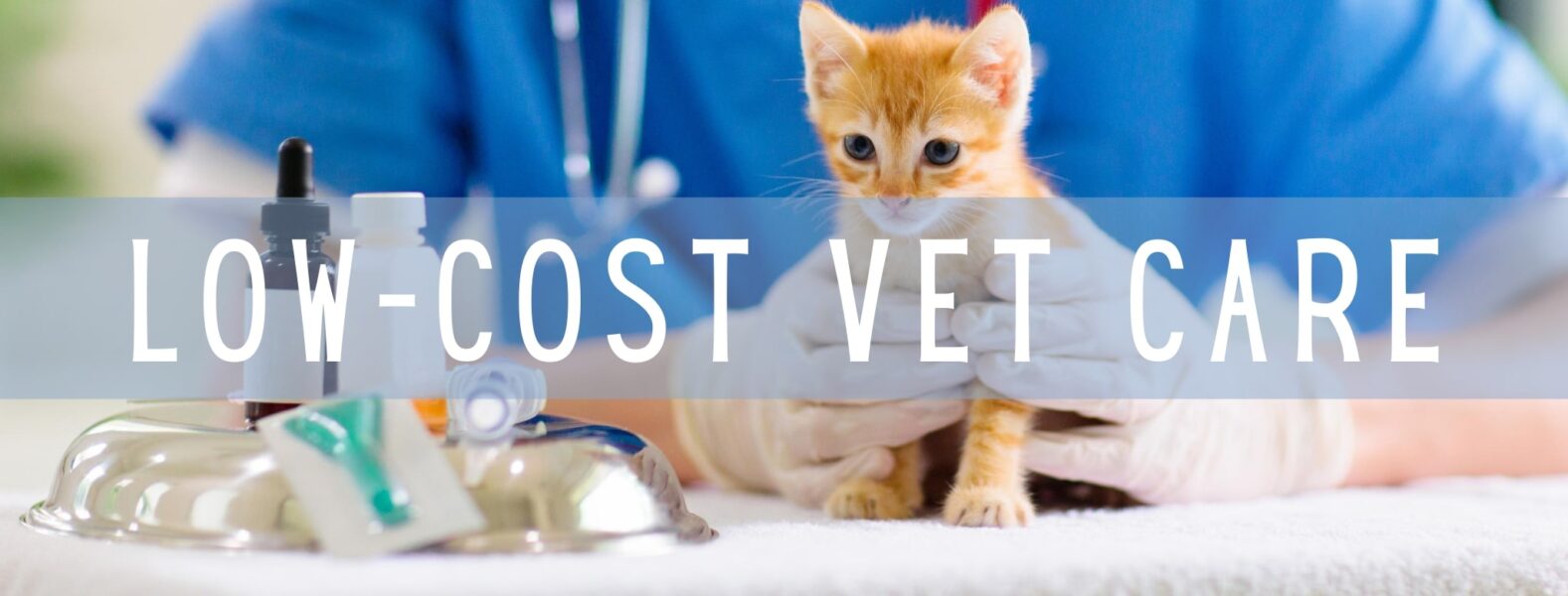 Pet Care Resources - Veterinary Services - Portsmouth Humane