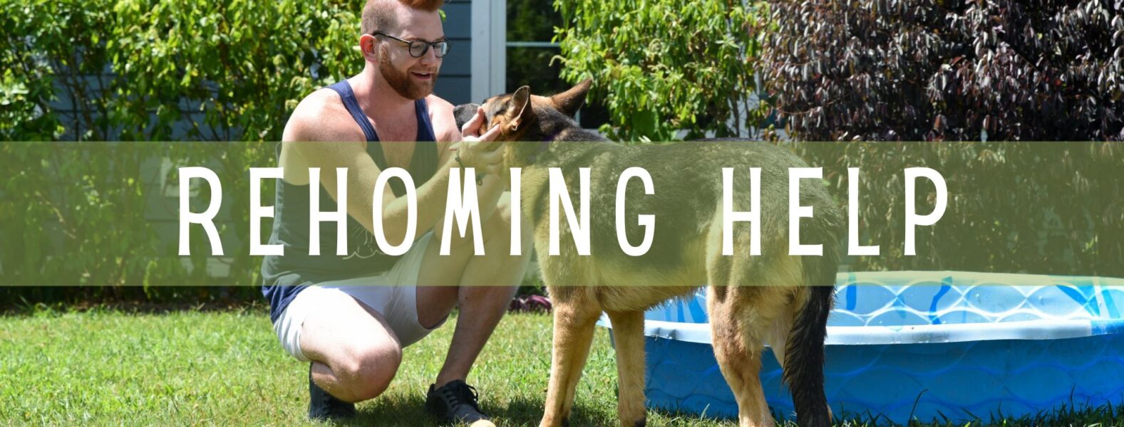 Placing Your Pet for Rehoming - Portsmouth Humane Society