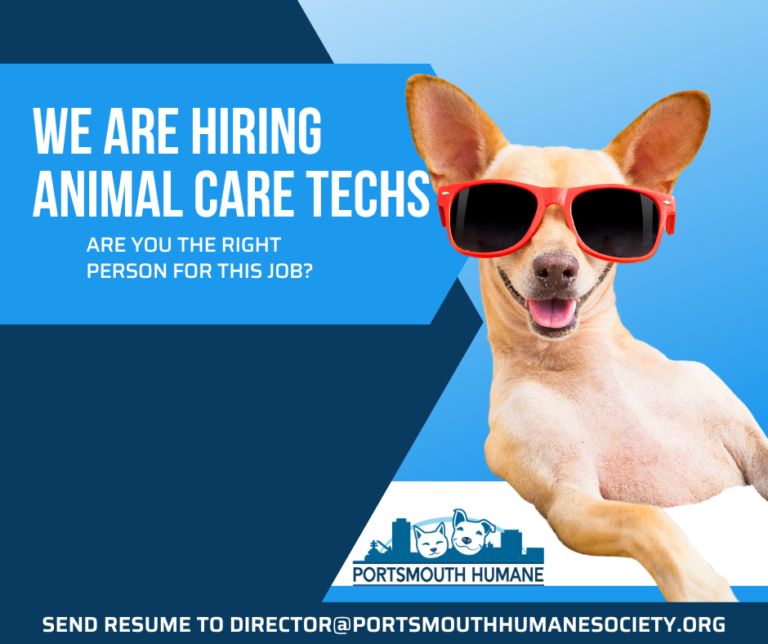 Employment | Animal Shelter Jobs by Portsmouth Humane